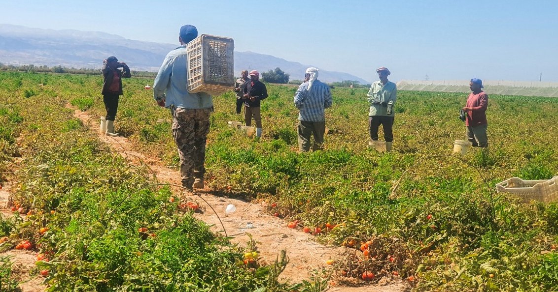 MIDEQ - Migration for development and equality